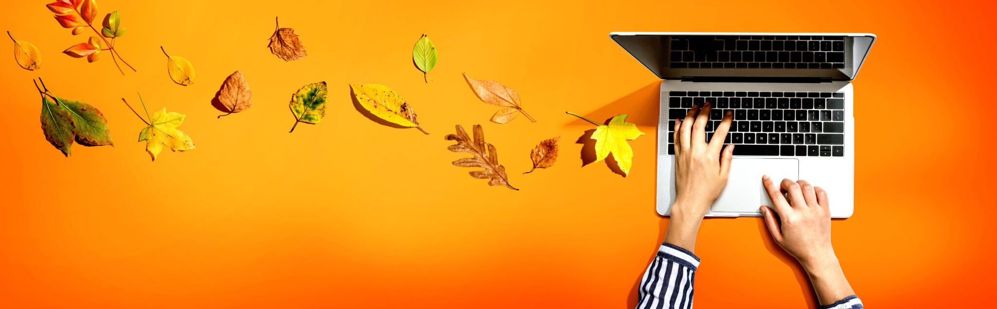 The Power Of Post-Nominals – iCPD